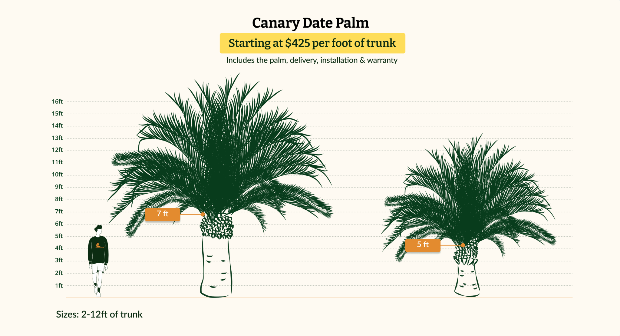 Sizing Chart - iguanapalms.com